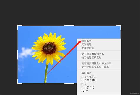 Ppt画图如何保存600dpi以及消除白边问题