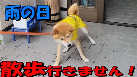 I Don T Go For Walks On Rainy Days Youtube