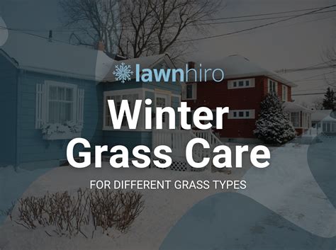 Winter Grass Care For Different Grass Types Lawnhiro