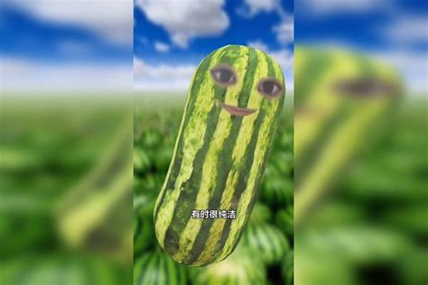看我还活着 纯属自娱自乐