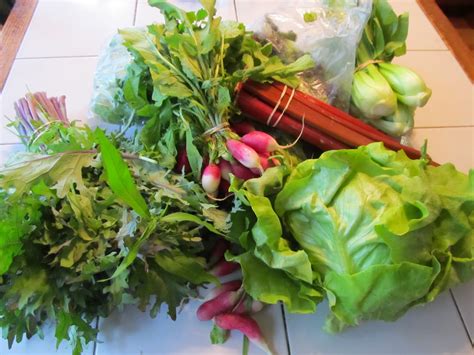 Inner Beauty Workshops Food Sex Politics