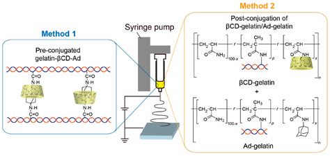 Design Of Hybrid Polymer Protein Systems Encyclopedia Mdpi