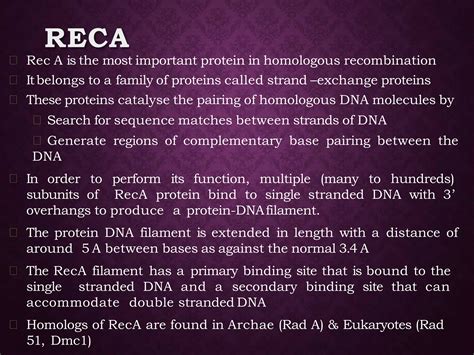 Enzymes Involved In Homologous Recombinationpdf