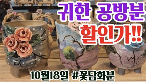 10월18일 귀한공방분 할인가 꽃담다육스토리예쁜화분화분싸게파는곳다육식물多肉植物succulents다육이꽃담화분다육화분꽃담다육스토리화분 Youtube