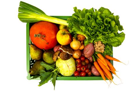Fresh Box - Die Große | Fanny Fresh Salzburg