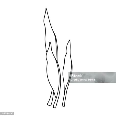 손으로 그린 나뭇잎 낙서 스타일의 벡터 그림입니다 흰색 배경에 격리합니다 0명에 대한 스톡 벡터 아트 및 기타 이미지 0명 가을 검은색 Istock