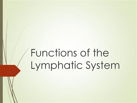 Functions Of The Lymphatic System Ppt Download