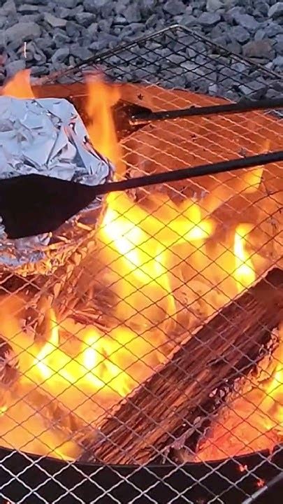 조용하게 캠핑을 즐기려 왔는데 탱크가 지나간다 캠핑 겨울캠핑 Camping Youtube