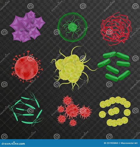 Bacteria Shapes Realistic Infographics Vector Illustration