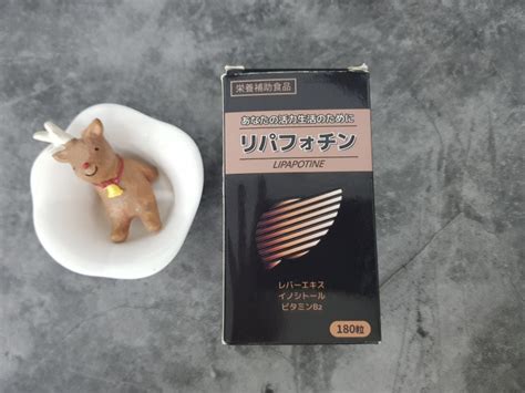 지방간에좋은 영양제로 간 건강 챙겨보세요 네이버 블로그