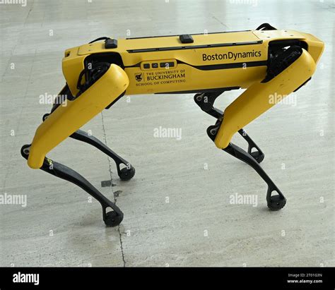 Boston Dynamics Robot Owned By University Of Buckingham Milton Keynes Smart City Robotics
