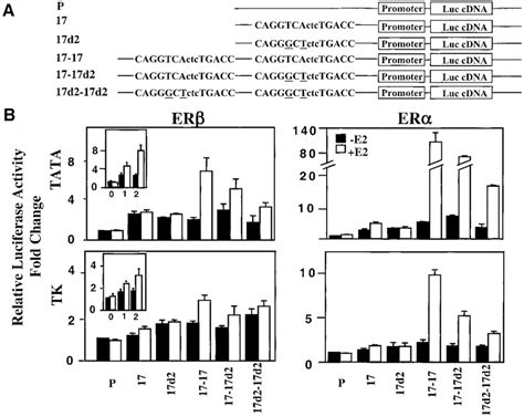 Transcription From Tandem Ere Sequences Mediated By Er Or Er In