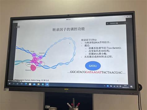 Scbasset：基于dna序列的卷积神经网络single Cell Atac Seq分析模型 上海交通大学医学院临床医学研究院