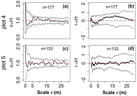 Spatial Structure Of The Vertical Layers In A Subtropical Secondary