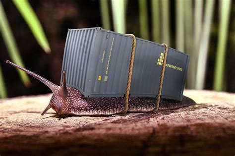 Container Bug Allows Attackers To Gain Root Access On Host Machine