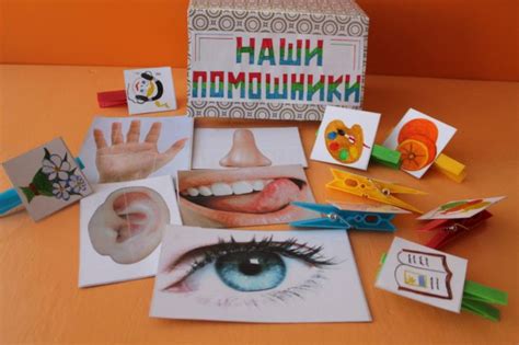 Дидактические Игры Органы Чувств - dromconsultants
