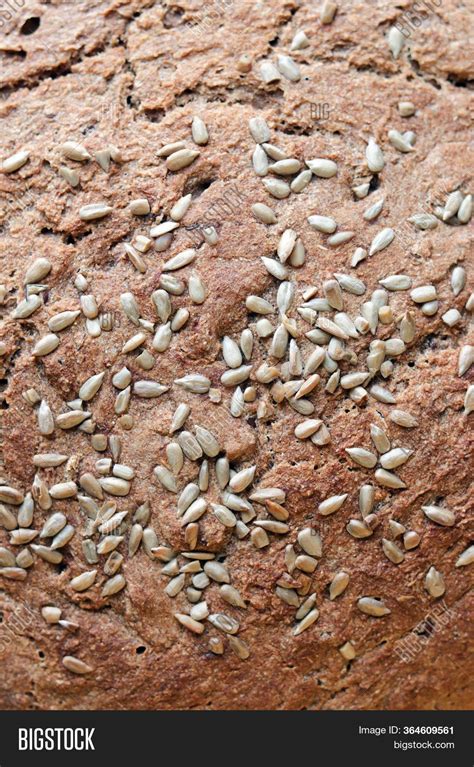 Crust Texture Freshly Image Photo Free Trial Bigstock