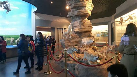 “Хайлаар~Манжуур” 2 хотын аялал New Value Travel