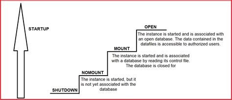 How To Startup The Oracle Database Dot Net Tutorials