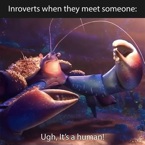 Moana Memes