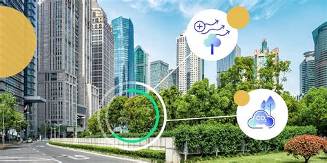 Digital Tech Work Experience With Yunex Traffic Springpod