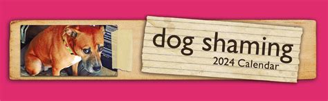 Dog Shaming 2024 Wall Calendar Lemire Pascale