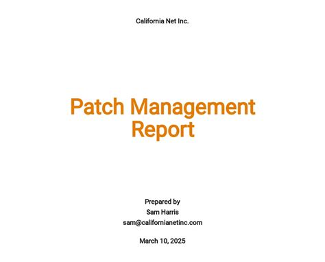 Free Business Management Report Template Pdf Word Doc Apple