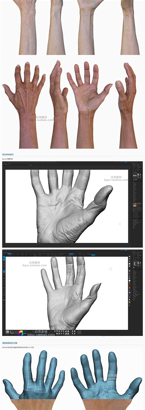 Male And Female 3d Hand Model Bundle 18 X Hand Scans Zbrush亚洲男性c4d女性3d手臂fbx手掌obj模型8k扫描tga置换ztl