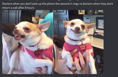 I Dont Miss Calls With Docs R Medlabprofessionals