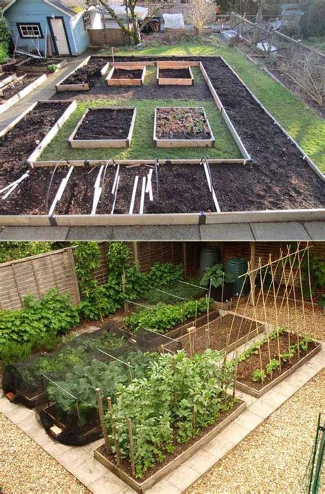 11 Ideas To Make A Small Vegetable Garden