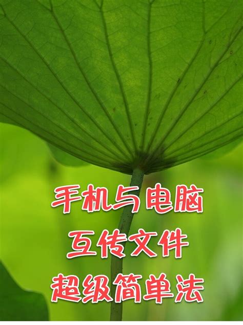手机电脑互传文件如何最简单 度小视