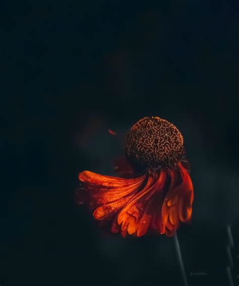 Al Fawāid Attributes Of The One Thrown Into The Hell Fire Islamnode