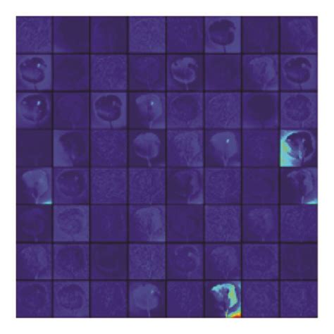 Visualization Of Activations For An Input Image In The First