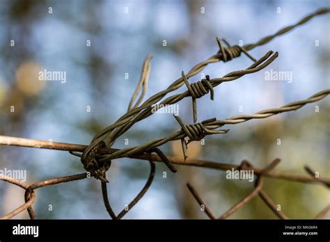 Barbed Wire On The Fence Old Barbed Wire On The Fence Of An Important Property Season Of The