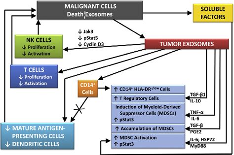 Tetanus And Diphtheria Toxoid Adsorbed For Adult Use Semantic Scholar