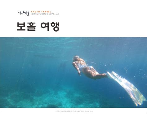 보홀 자유여행 일정 경비 여름휴가지 추천 필리핀 여행 보홀 투어 네이버 블로그