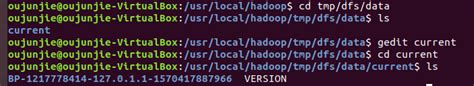 Hadoop 没有datanode解决方法hadoop中data文件没有怎么办 Csdn博客