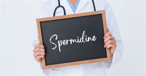 被稱為擁有神奇功效的成份 亞精胺 Spermidine