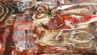 Post Domesticflight Tumblr Com Tumbex Post Domesticflight Tumblr Com Tumbex