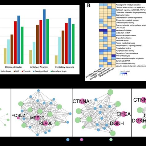 Classification Of Schizophrenia Individuals And Prioritization Of Download Scientific Diagram