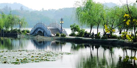 走进杭州西湖风景区 中国网