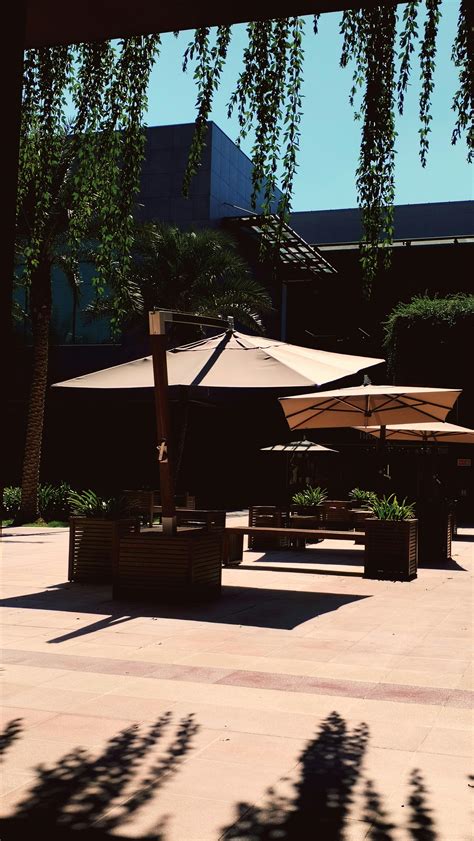 Daniel Bertoli Photography