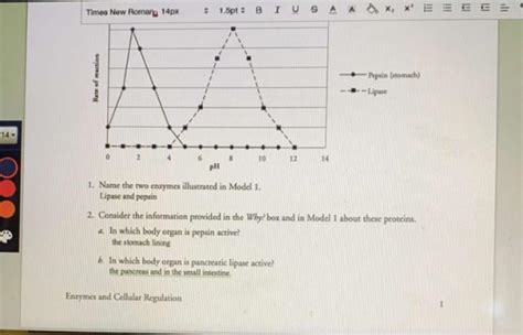 Solved Enzymes And Cellular Regulation What Are The Factors