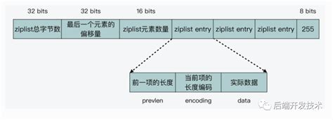 5分钟学会redis原理,ziplist和intset|原创 知乎 5分钟学会redis原理,ziplist和intset|原创 知乎