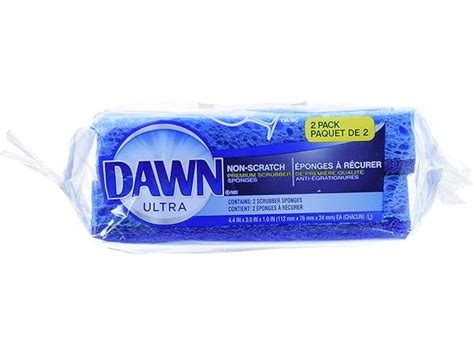 Dawn Non Scratch Sponges 2 Pk