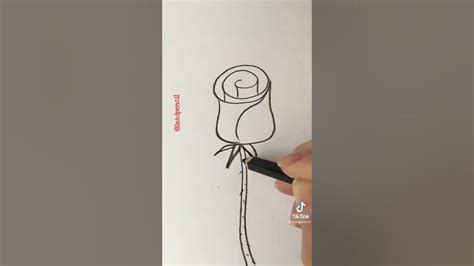 رسامی گلرسامی پنسلی نقاشی با پنسل Youtube