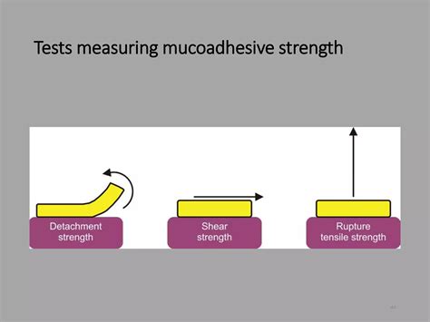 Mucoadhesive Drug Delivery System Pptx