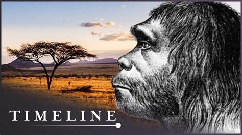 The Discovery Of The Earliest Human Ancestor First Human Timeline