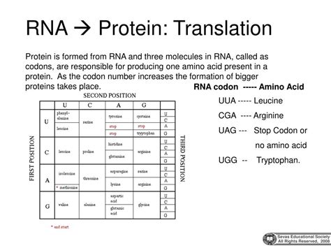 Ppt Module 1 Introduction To Bioinformatics Powerpoint Presentation