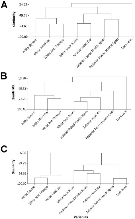 Dendrograms Showing Correlation Coefficient Distance Ward Linkage Download Scientific Diagram